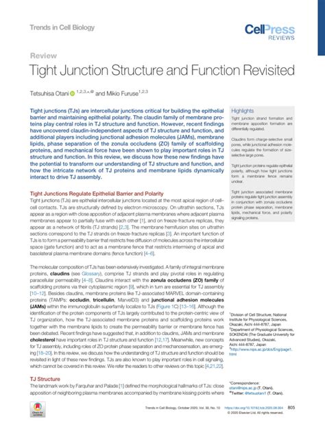 Tight Junction Structure And Function Revisited Pdf Cell Membrane