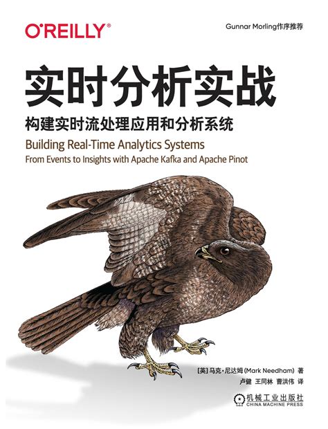实时分析实战：构建实时流处理应用和分析系统 pdf epub mobi azw3 格式 kindle 电子书免费下载 nmod 优质电子书
