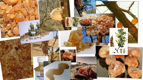 Diy Bath Oil Recipes For Natural Relaxation