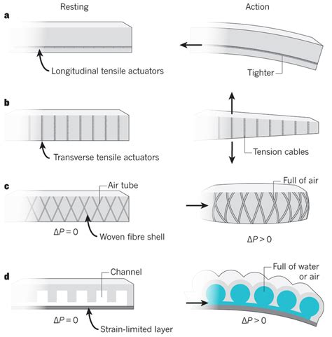 Cross Section Of Common Approaches To Actuation Of Soft Robot Bodies In Download Scientific