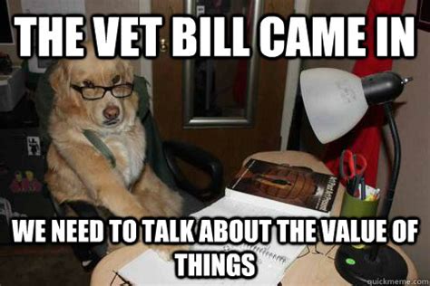 The Vet Bill Came In We Need To Talk About The Value Of Things Misc