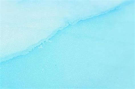 무료 사진 제목