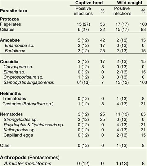 Parasites Of Python Reticulatus Detected In Scats By Combination Of