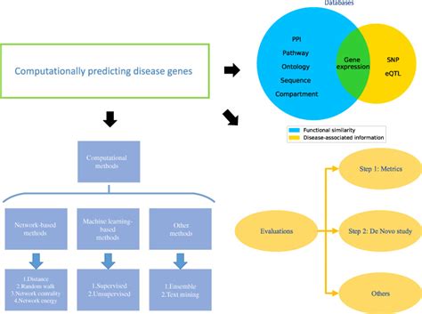 Predicting Disease‐associated Genes Computational Methods Databases And Evaluations Luo