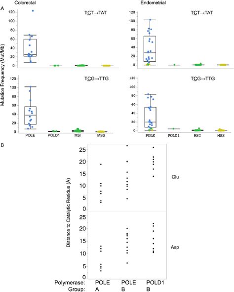 mutation propensities and structural relationships in pole and