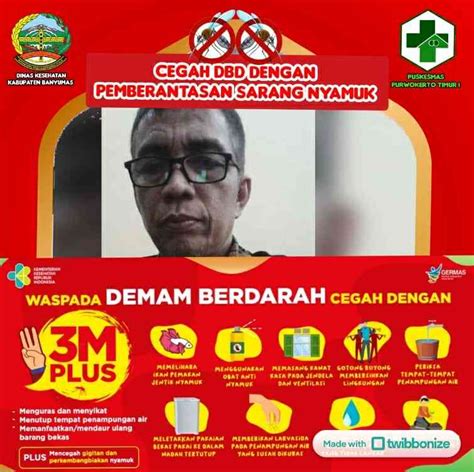 Foto Artikel Mencegah Deman Berdarah Dengue Dengan 3m Plus