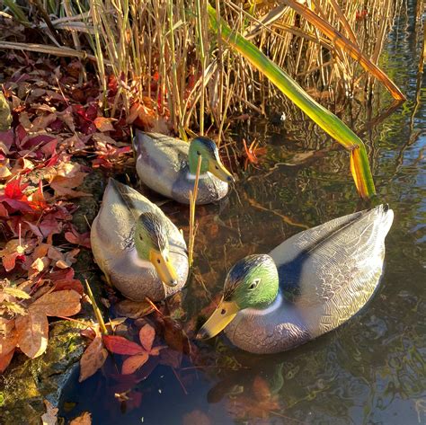 Mallard Duck Pond Ornament Hunting Shooting Floating Decoy Pack Of 3