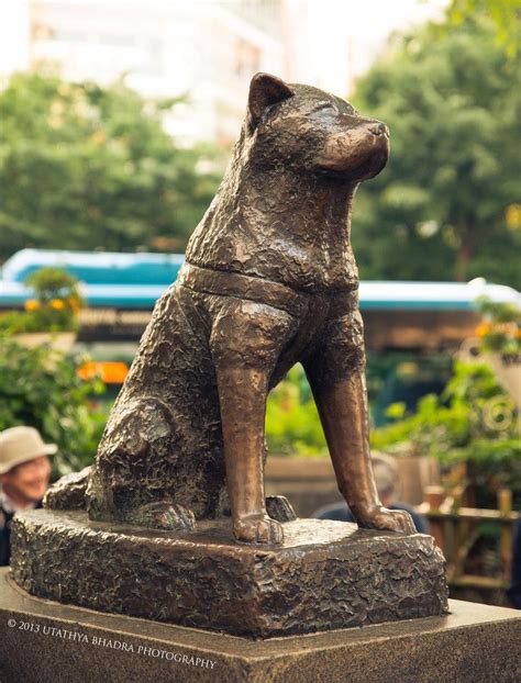 Famous Dog Statue Shibuya Japan At Joe Tepper Blog
