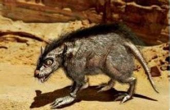 Star Wars Womp Rat