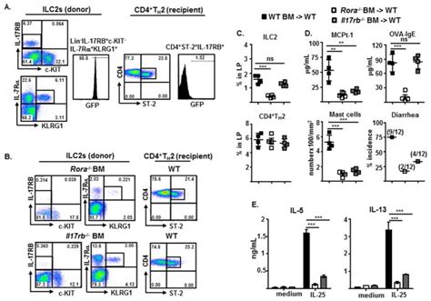 Il 25 And Cd4th2 Cells Enhance Ilc2 Derived Il 13 Production That