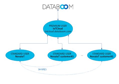 How Can I Provide Databoom To My Customers Databoom