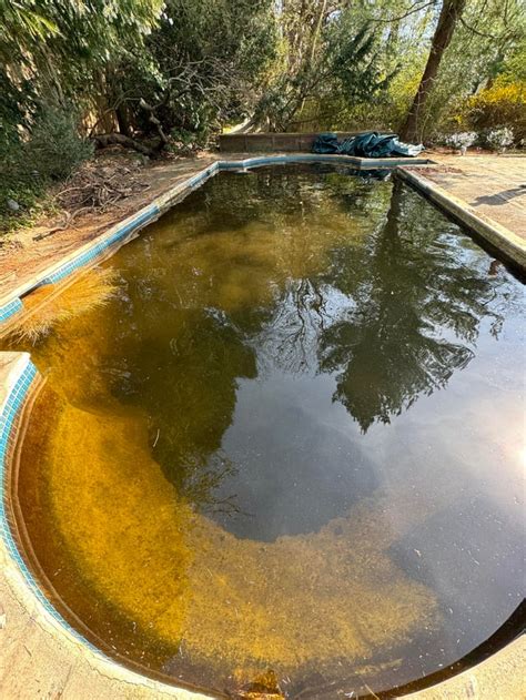 Stranger Things Pool Needs Rehab Rpools