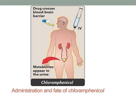 3c Chloramphenicol Pptx Antimicrobial Agents Ppt