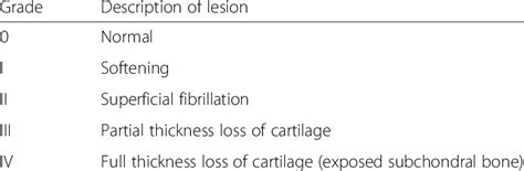 Modified Outerbridge Classification Of Articular Cartilage Lesions 16 20 Download Scientific