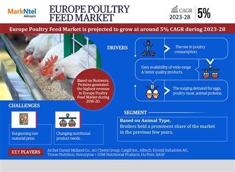 Infographics Europe Poultry Feed Market Insights Trends 2028