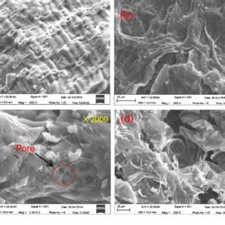 SEM Images Of The Samples A For CS And B C For CSGC Before Download Scientific Diagram