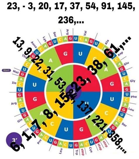 tidjani négadi on linkedin revealing the genetic code symmetries through computations involving…