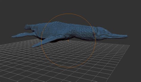Polycotylus By Pan Wołodyjowski Download Free Stl Model