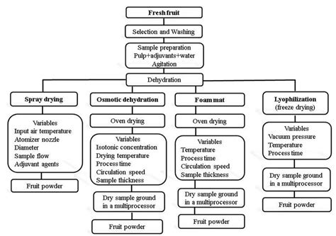 Schematic Representation Of The Main Techniques Used For The