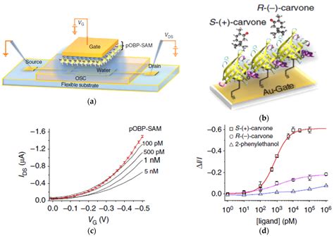 Organic Field Effect Transistor Working Principle At Sandra Raines Blog