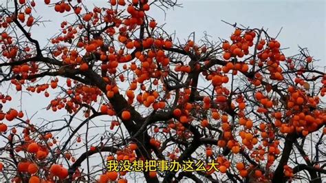 李正光回來後，加代在分公司的表現更加賣力了 每日頭條