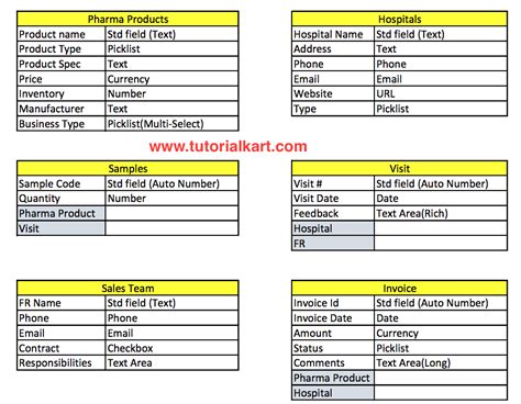 how to customize standard salesforce application