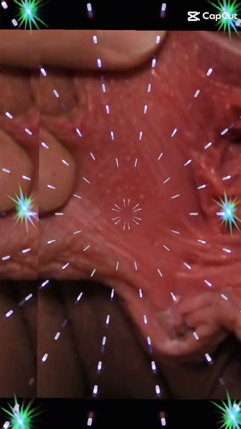 Veronica Church Vagina