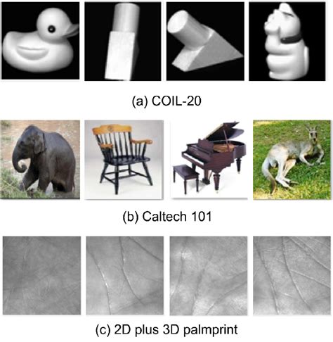 some image examples on the coil 20 caltech 101 and 2d plus 3d