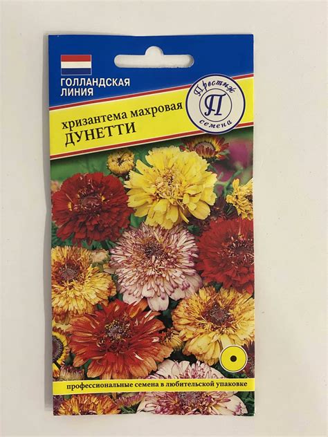 Купить Хризантема из питомника "КСП" – доставка почтой, СДЭК