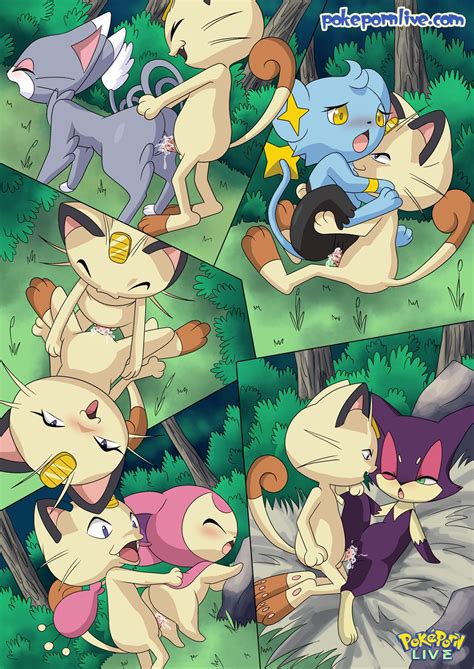 Palcomix Las Gatitas De Nyarth Pokémon