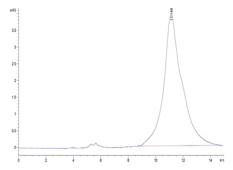 Human Jaml Protein Accession Np001091996 Watson International Limited