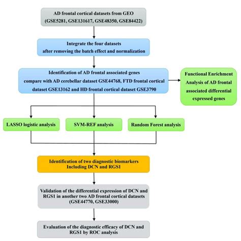 Functional Enrichment Analysis To Investigate The Potential Function Of