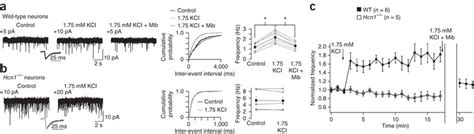 Hyperpolarization Enhances Mepsc Frequency By Activating T Type Ca2