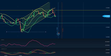ブビンガ Bubinga のバイナリーオプション 評価・口コミ