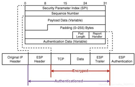 Ipsec基本原理 Csdn博客 Ipsec基本原理 Csdn博客
