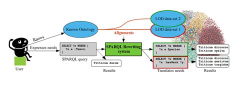 Global Workflow Of The Approach Download Scientific Diagram