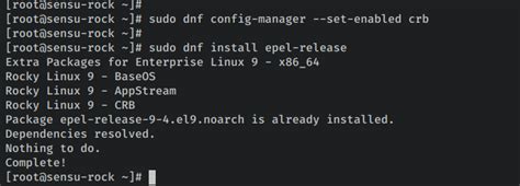 so installierst du sensu monitoring solution auf rocky linux 9 howtoforge