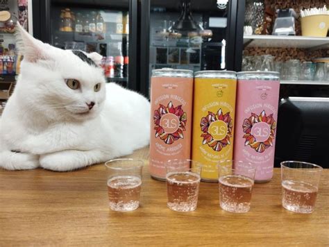 3ls Sur Linkedin Boisson Drink Hibiscus Soft Citron Cedrat