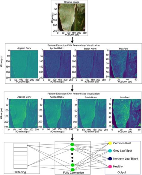Model Building Process Download Scientific Diagram