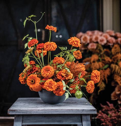 Zinnia Flower Arrangements We Love Flower Magazine
