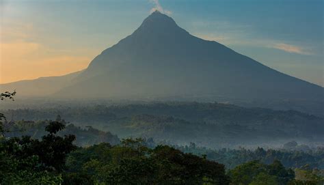 The Latest News Updates From Virunga National Park