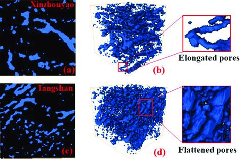 Pore Structure Morphology In Two Coal Samples A Two Dimensional Pore