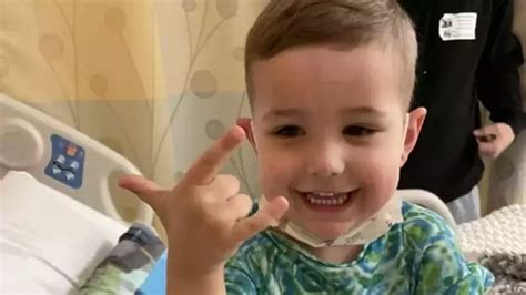 Սուր միելոգեն միելոբլաստային լեյկոզ Մեդեքս