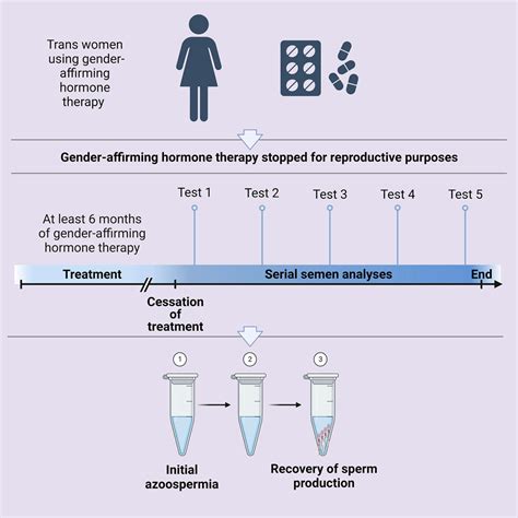 Successful Restoration Of Spermatogenesis Following Gender Affirming