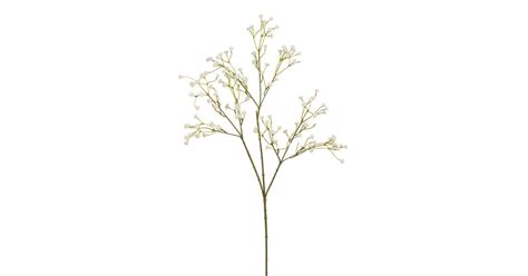 Gipsofila Online Kupovina Xxxlesnina Hr