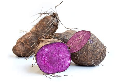 Kand Exotic Roots Importeur En Groothandel In Groente En Fruit