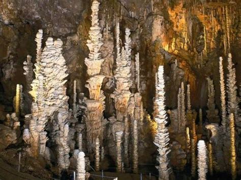 The Aven Armand Tourism And Holiday Guide