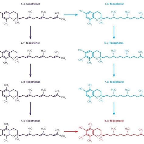 Pdf Comparison Of Friedewald Formula And Modified Friedewald Formula