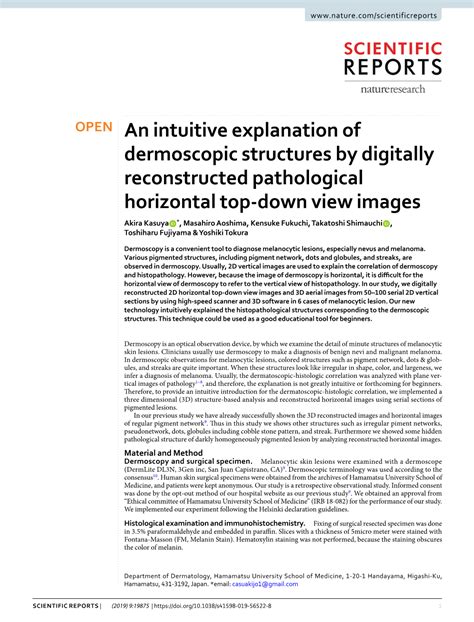 An Intuitive Explanation Of Dermoscopic Structures By Digitally