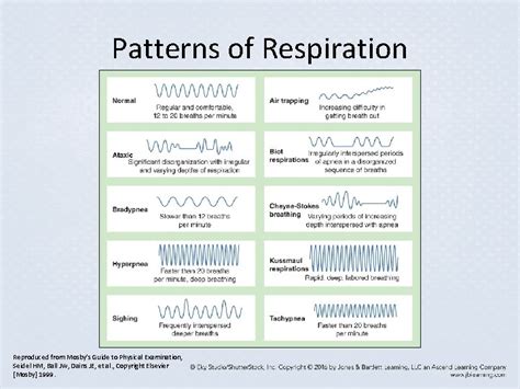 Chapter 1 History And Physical Examination Objectives 1